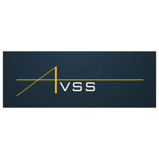 Portfolio - DRONE FUND